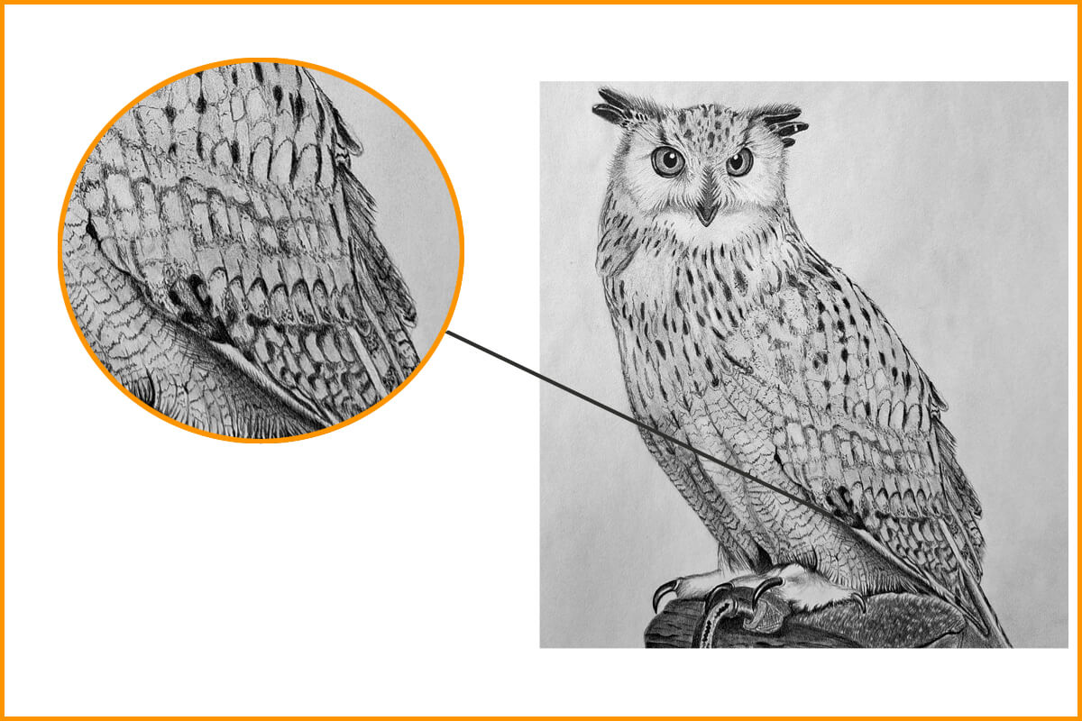 Drawing Texture: Can You Draw These 7 Challenging Textures? | Muus Art