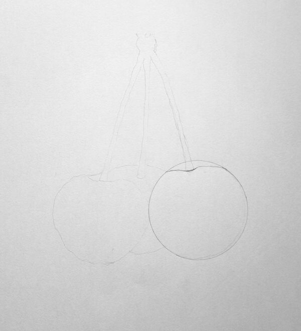 7 Easy Steps for Drawing Realistic Cherries (With Illustrations) | Muus Art