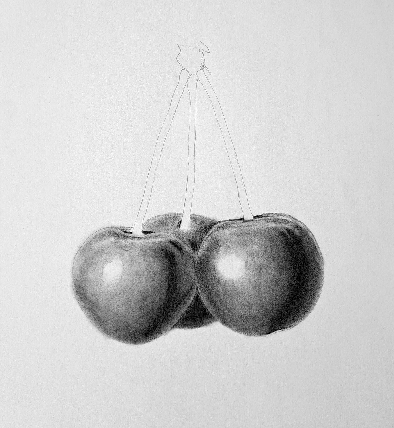 7 Easy Steps for Drawing Realistic Cherries (With Illustrations) | Muus Art
