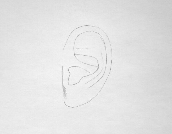 4 Easy Steps to Draw an Ear from the Side | Muus Art