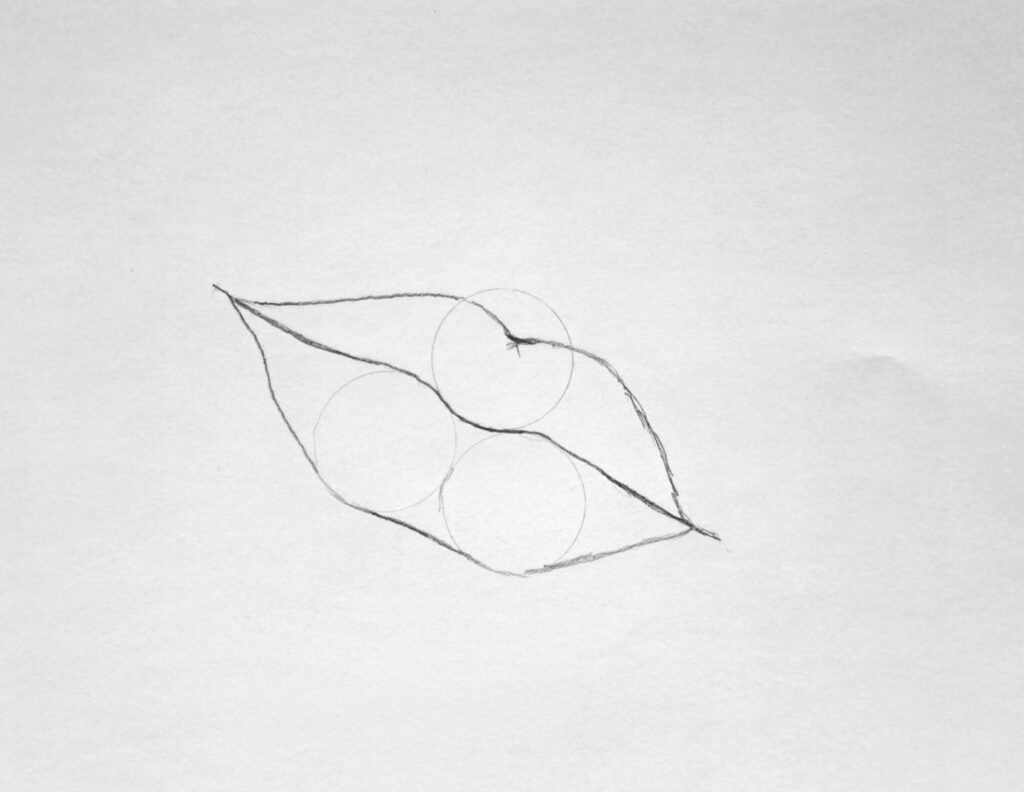 How to Draw Realistic Front View Lips (3-Circles Method) | Muus Art