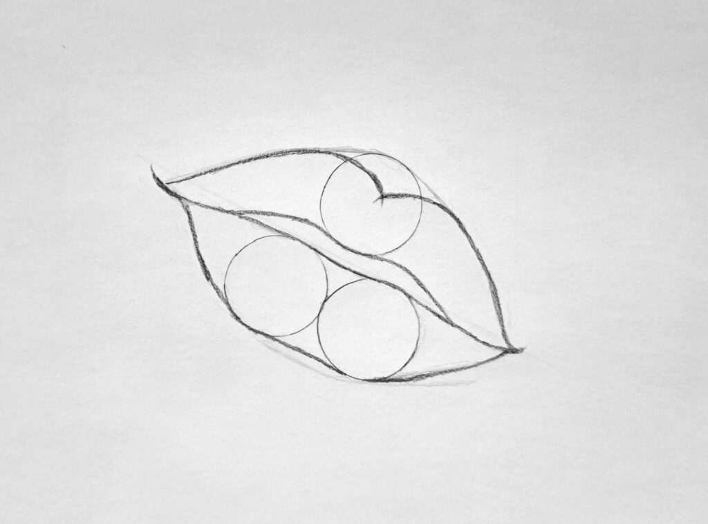 How to Draw Realistic Front View Lips (3-Circles Method) | Muus Art