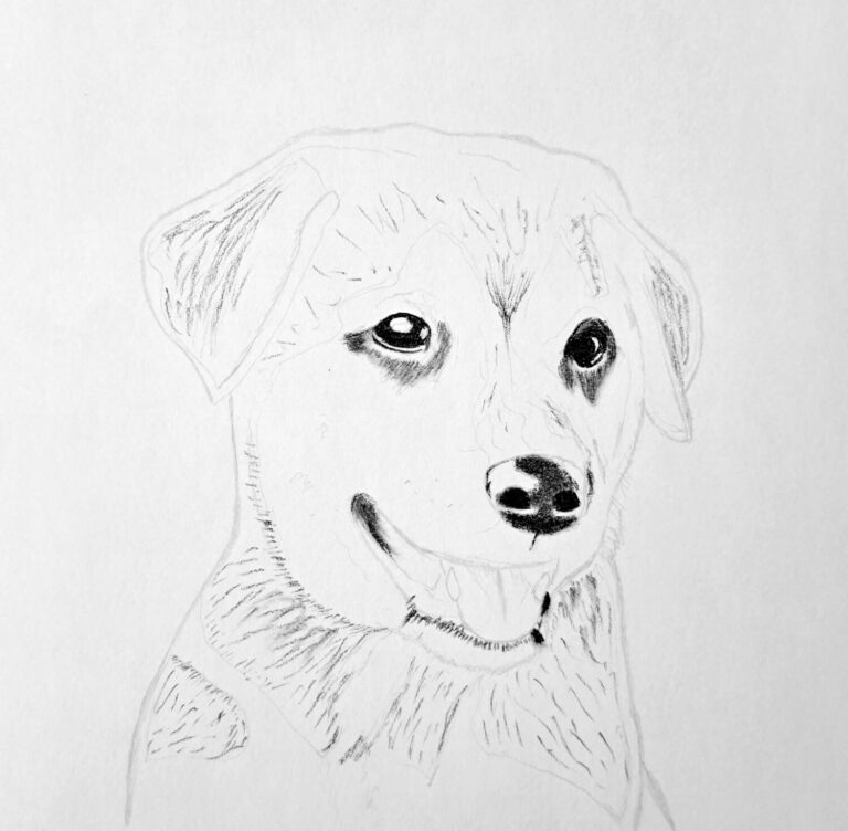 An Easy Process on How to Draw a Puppy | Muus Art
